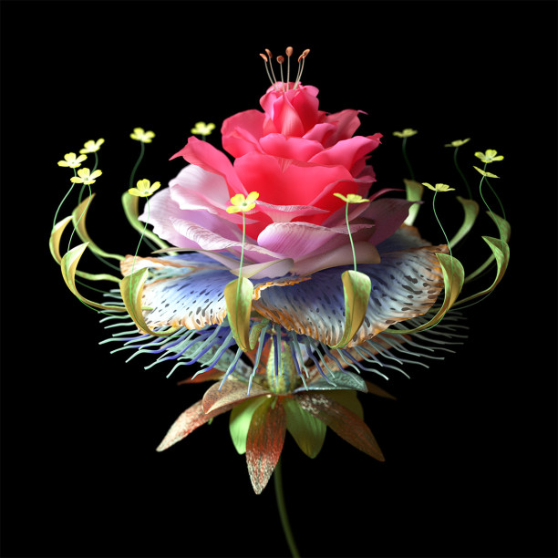 Jonathan Zawada - Big Active